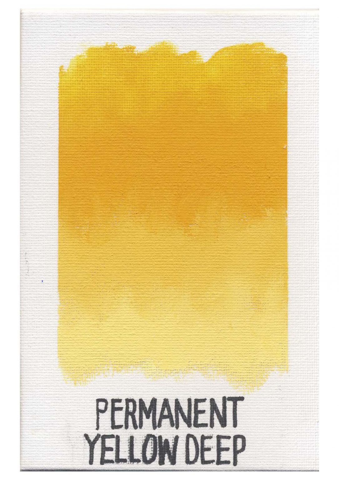 WILLIAMSBURG® OIL 37ML PERMANENT YELLOW DEEP 423-9 – Heinz Jordan & Company Limited